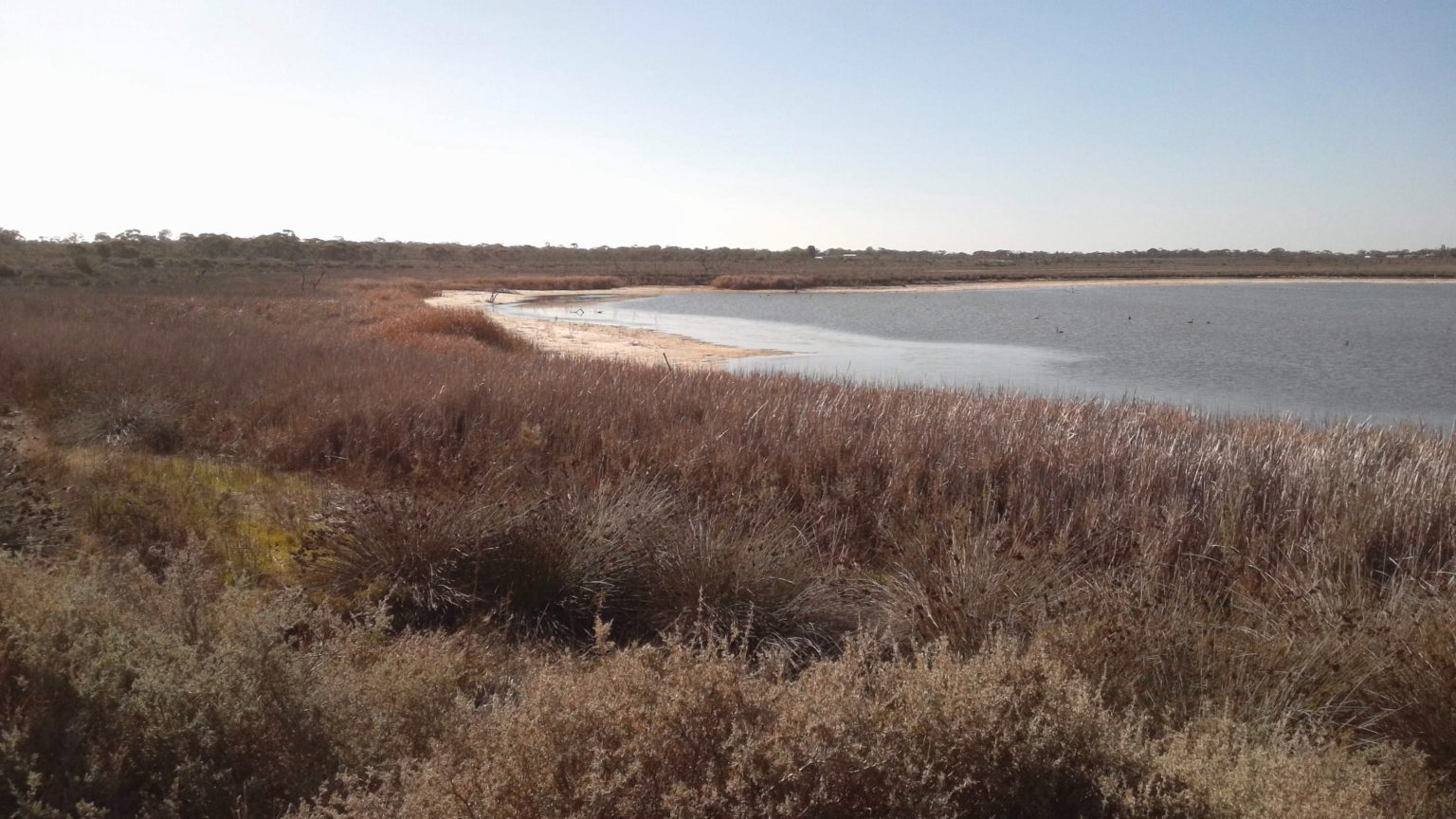 Cardross-Koorlong | Mallee Regional Catchment Strategy
